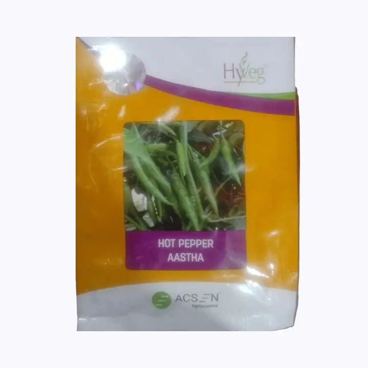 Buy Acsen HyVeg Aastha Hot Pepper Seeds – High-Yield Green Chilli | K...