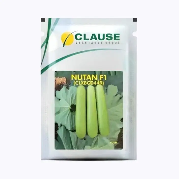 Clause Nutan F1 Bottle Gourd Seeds – Premium Quality, High-Yield ...