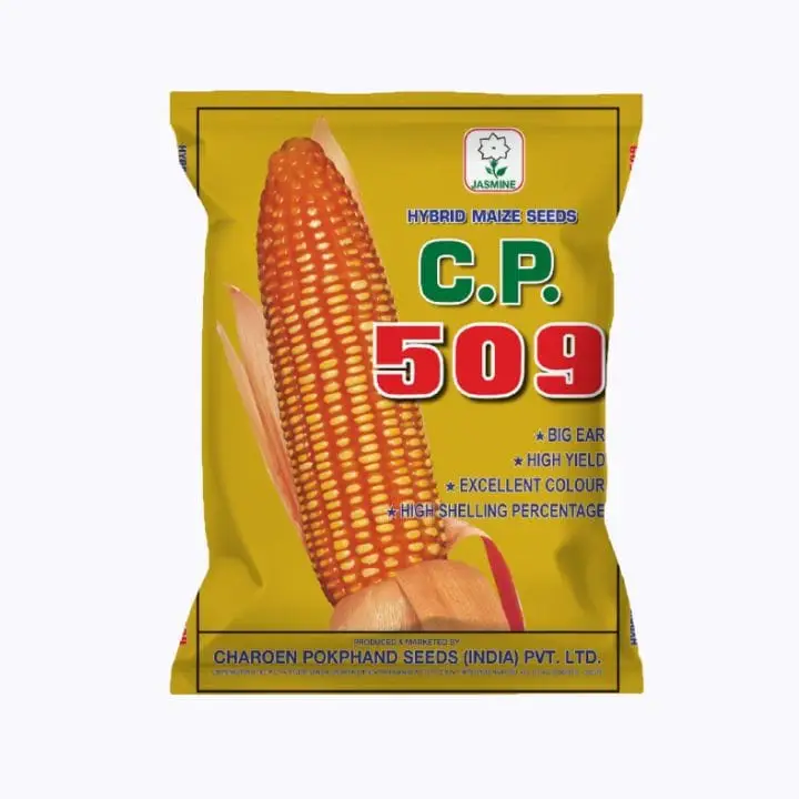 Buy MAIZE 509 HYBRID – CP Seeds by Rise Agro | High Yield, FAW Tolerant ...