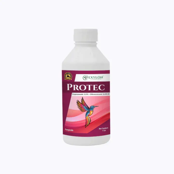 Buy Bayer Antracol Fungicide – Propineb 70% WP Broad-Spectrum Disease...