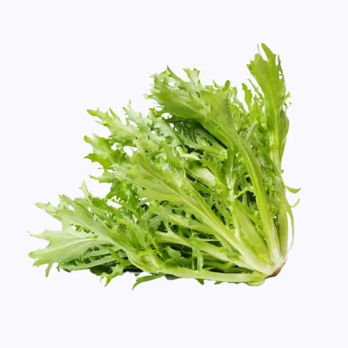 Buy Golden Hills Curly Endive Green Seeds for Unique and Tasty Greens ...