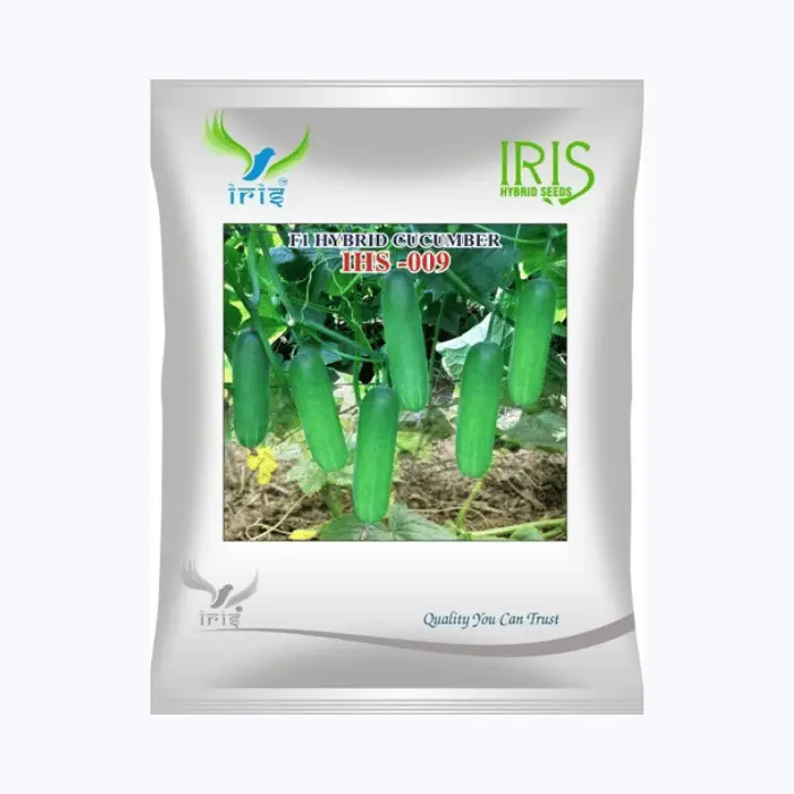 Buy Excellar EX Meera F1 Coriander Seeds – High Yield & Mild Aroma ...