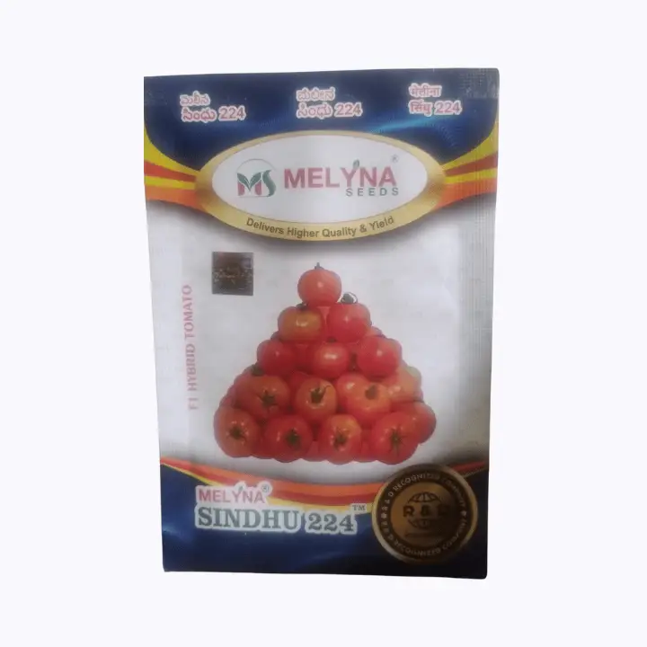 Buy Syngenta Intruder Capsicum Seeds - High Yield, Deep Green, Blocky ...