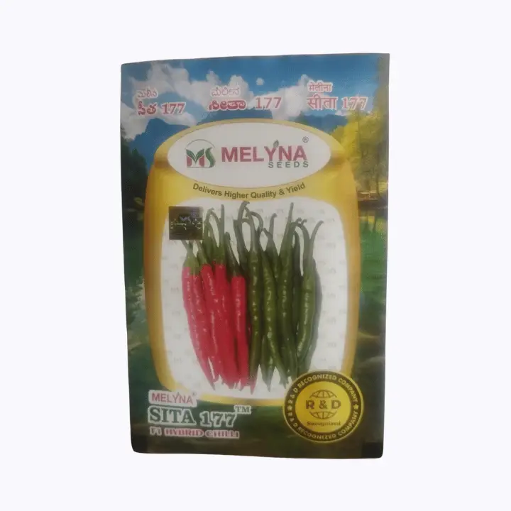 Buy Melyna Sita 177 Chilli Seeds – High Yield Hybrid Hot Pepper - KisanShop