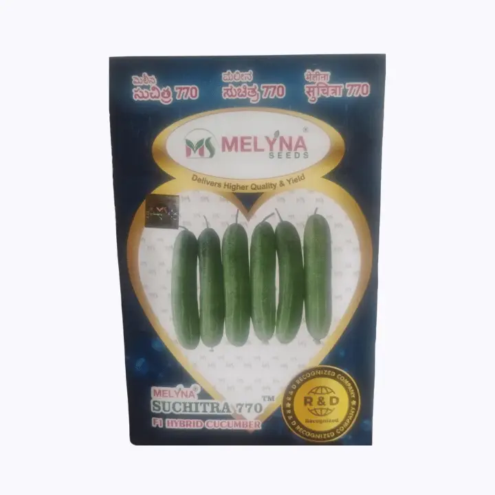 Buy Melyna Suchitra 770 Cucumber Seeds - High Yield & Disease Resistant ...