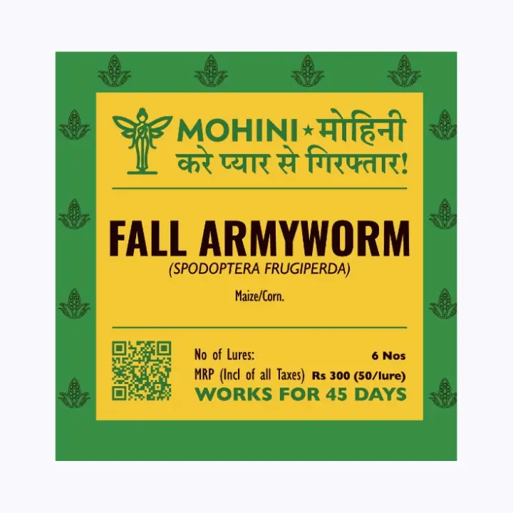 Buy Mohini Fall Armyworm Lure – Pheromone Trap for Spodoptera ...