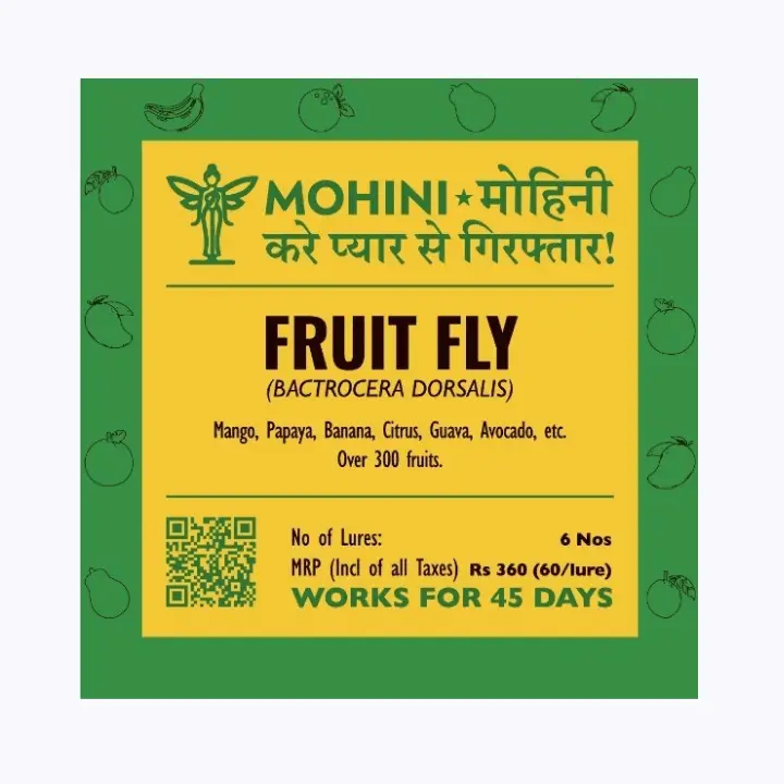 Buy Mohini Fruit Fly Lure – Trap Bactrocera dorsalis in Mango, Guava ...