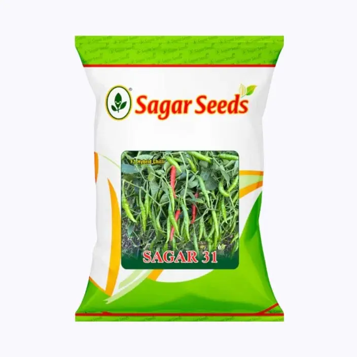 Sagar 31 F1 Chilli (10g) – High Yield, Disease-Resistant Hybrid Chilli ...