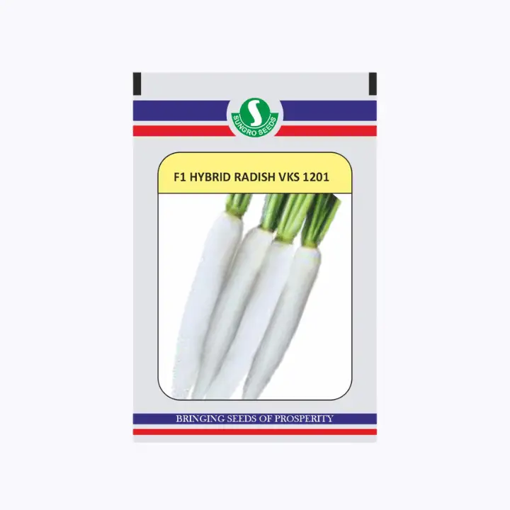 Buy Sungro F1 Hybrid Radish VKS 1201 – Early White Root Radish Seeds...